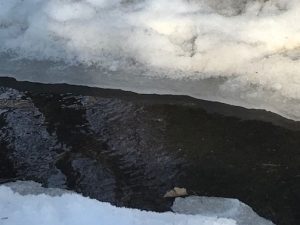 Slow Melt | Cast Light