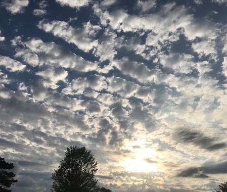 Look Up | Cast Light