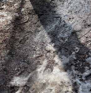 Spring Mud | Cast Light