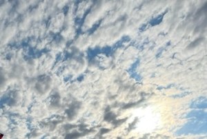 Light Yield | Cast Light