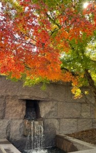 Most Precious Today | Cast Light