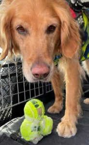 Mission Fun, Accomplished | Cast Light