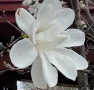 Read Well | Cast Light