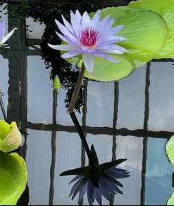 Threshold Moments | Cast Light