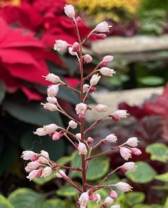 The Trifles | Cast Light