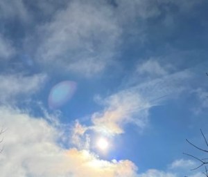 Fresh Words | Cast Light