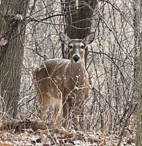 Look, Look, Look | Cast Light