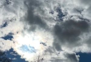 In the Layers | Cast Light