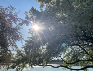 Light Calling | Cast Light