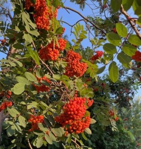 Watch Your Words | Cast Light