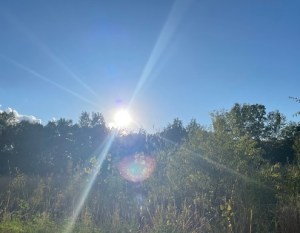 Demand Windows | Cast Light