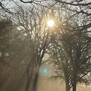 Brilliant Beams | Cast Light