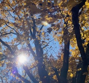 Weave Light Through This Day | Cast Light