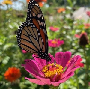 Lean Forward into the Present Tense | Cast Light