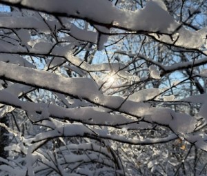 Beauty of New Beginnings | Cast Light